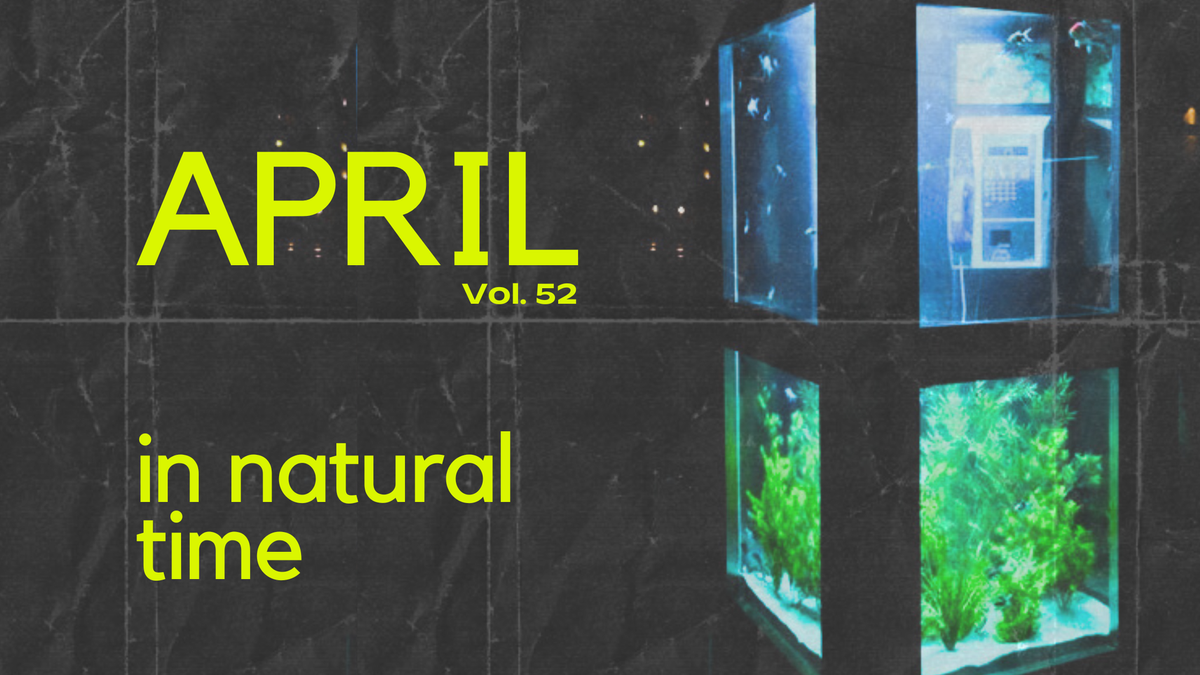 April 2024 Report Is In!